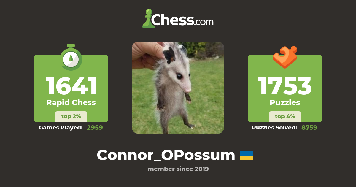 Dmytro Kovkun (Connor_OPossum) - Chess Profile - Chess.com