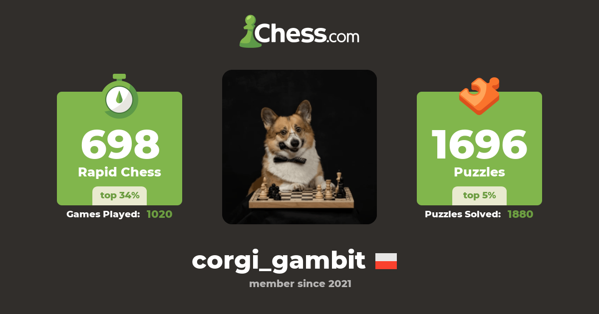 corgi_gambit - Chess Profile - Chess.com
