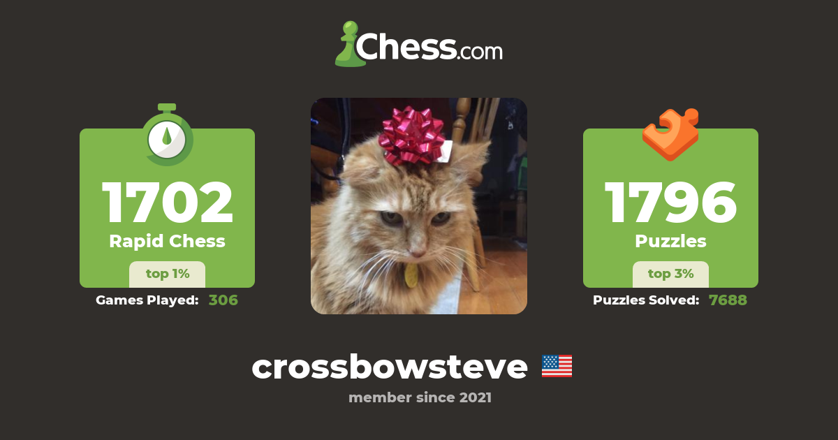 Stephen Rappaport (crossbowsteve) - Chess Profile - Chess.com