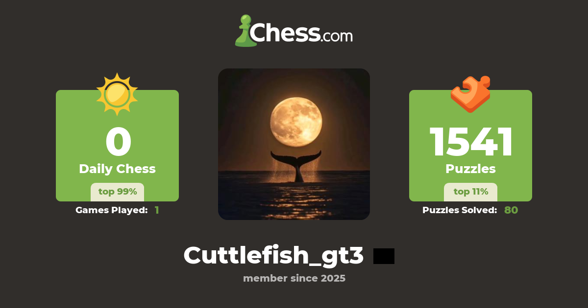Cuttlefish_gt3 - Chess Profile - Chess.com