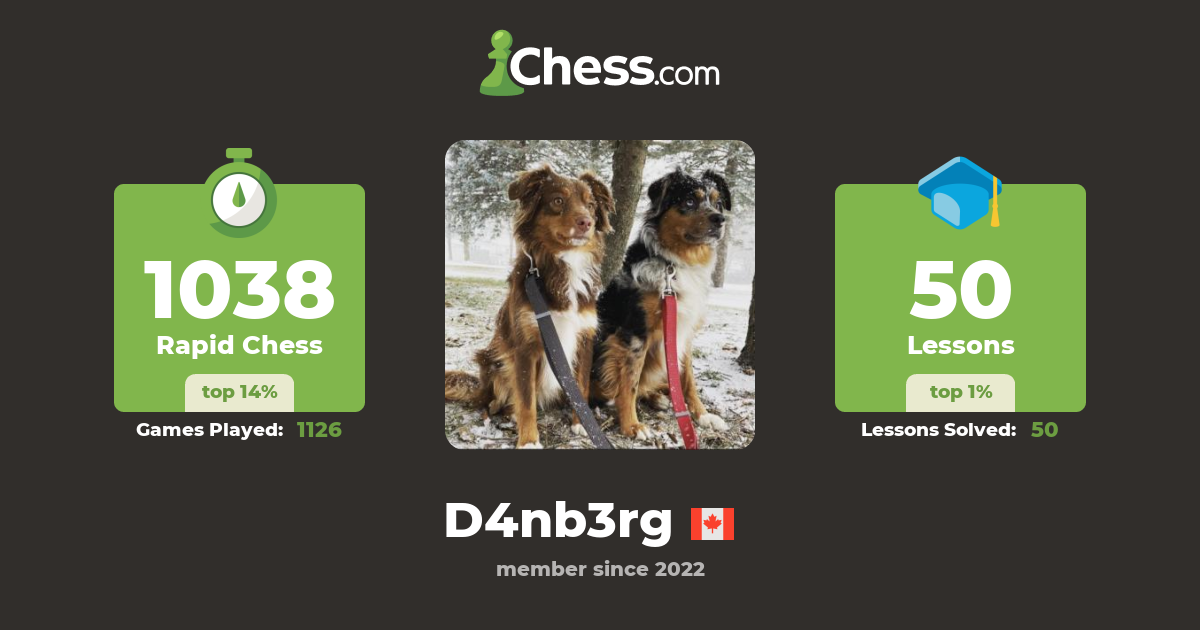 D4nb3rg - Chess Profile - Chess.com