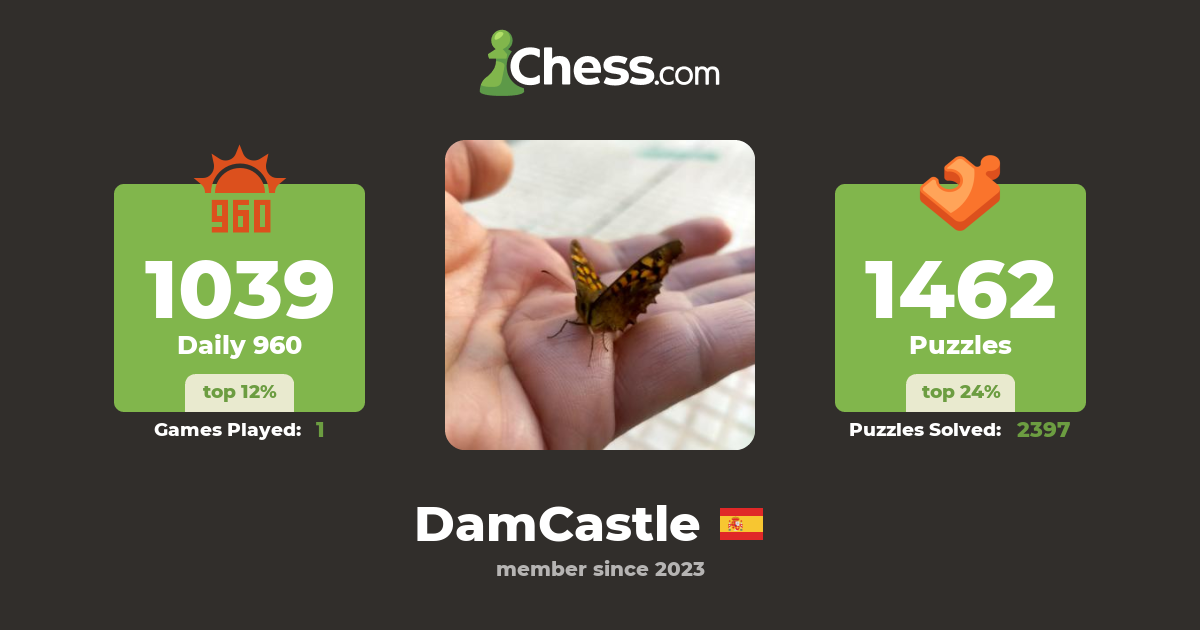DamCastle - Chess Profile - Chess.com