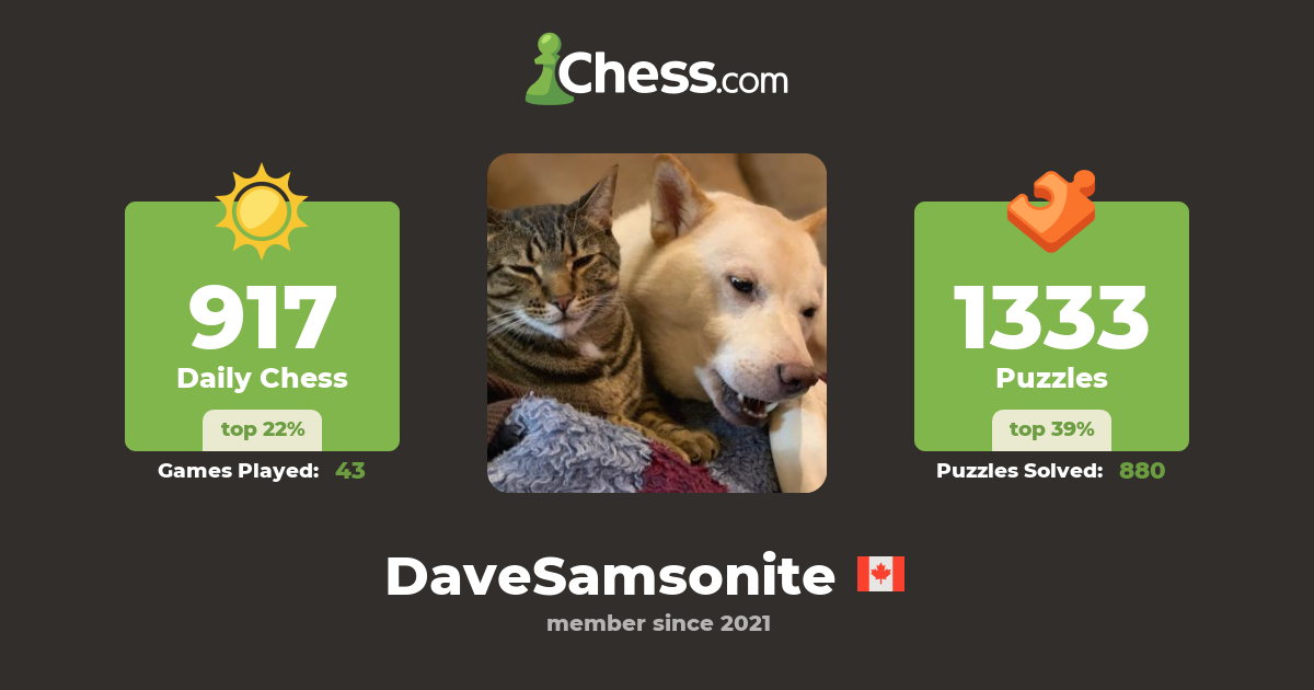 Dave Samsonite (DaveSamsonite) - Chess Profile - Chess.com