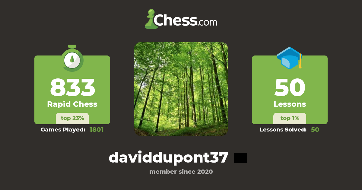David Dupont (daviddupont37) - Chess Profile - Chess.com