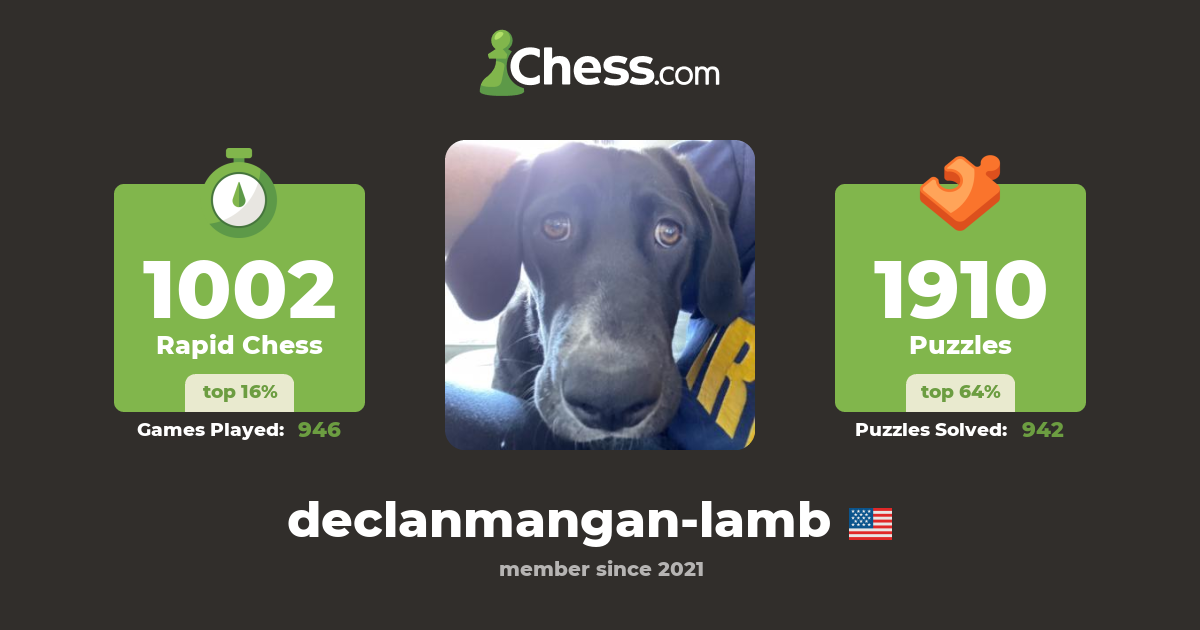 Anonymous Anonymous (declanmangan-lamb) - Chess Profile - Chess.com