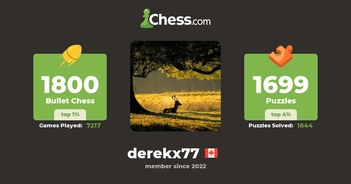 derekx77 - Chess Profile - Chess.com
