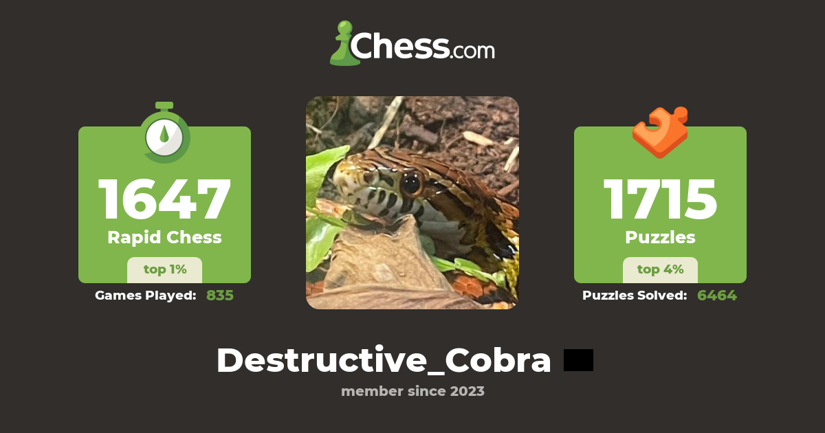 Destructive_Cobra - Chess Profile - Chess.com