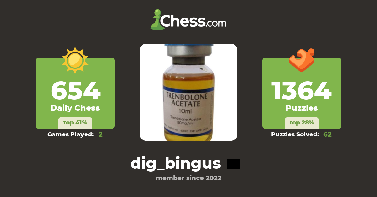 dig_bingus - Chess Profile - Chess.com