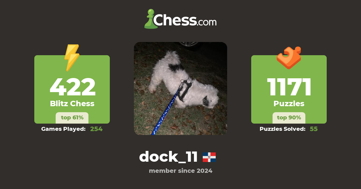 dock_11 - Chess Profile - Chess.com