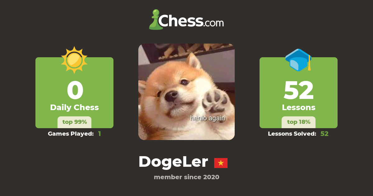 Duong Hai (DogeLer) - Chess Profile - Chess.com