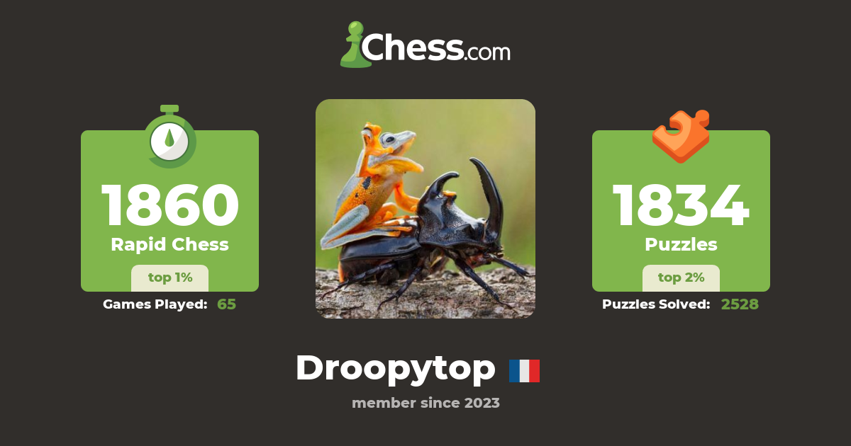 Droopytop - Chess Profile - Chess.com