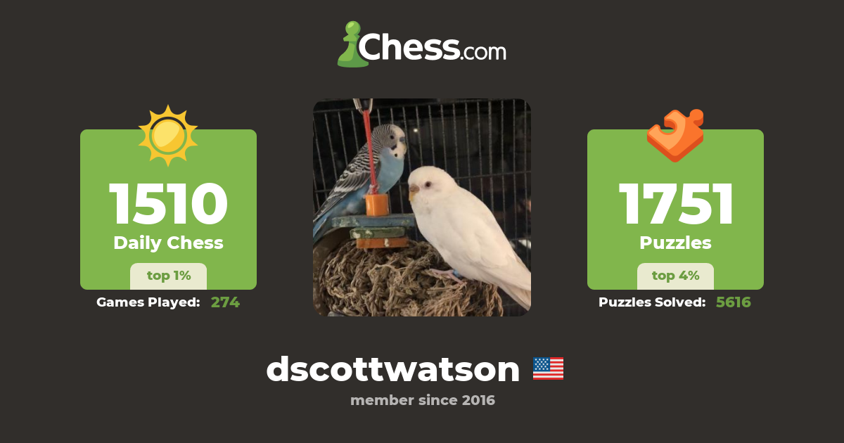 David Watson (dscottwatson) - Chess Profile - Chess.com