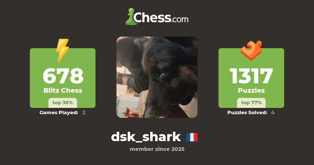 dsk_shark - Chess Profile - Chess.com