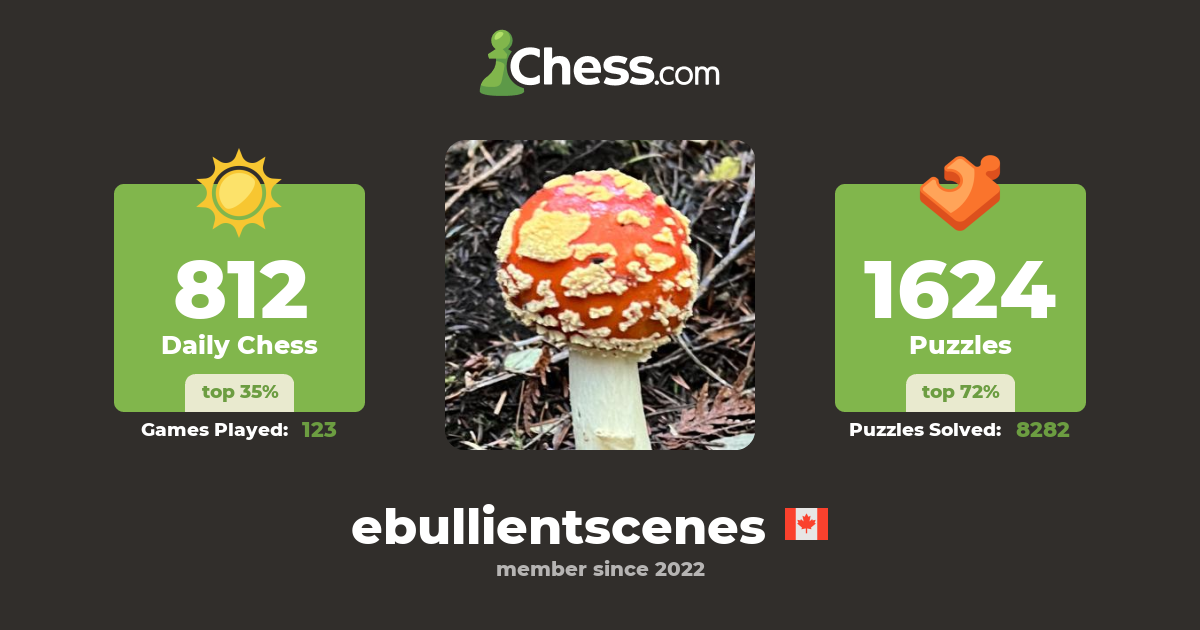Lachlan Fletcher (ebullientscenes) - Chess Profile - Chess.com