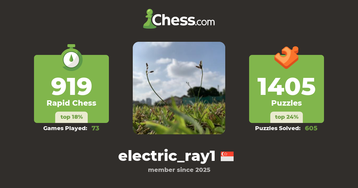 electric_ray1 - Chess Profile - Chess.com