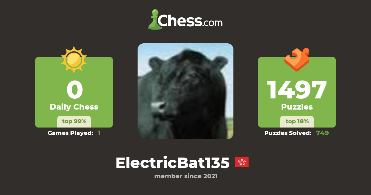 Idk At this point (ElectricBat135) - Chess Profile - Chess.com