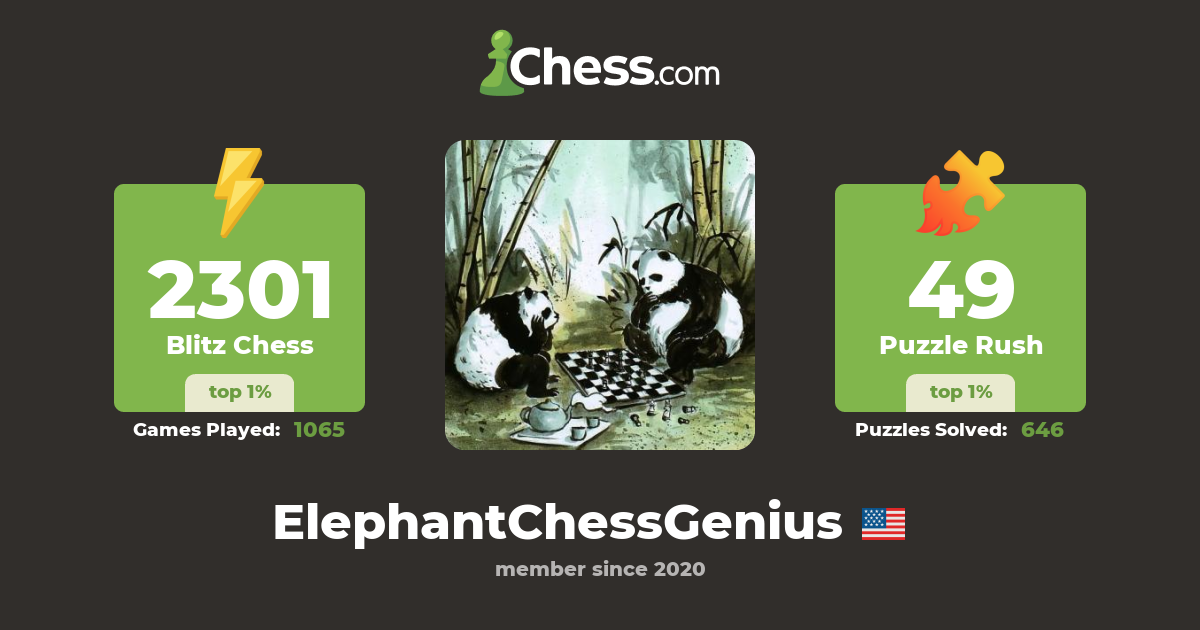 NM Kyle Qiyu Dong (ElephantChessGenius) - Chess Profile - Chess.com