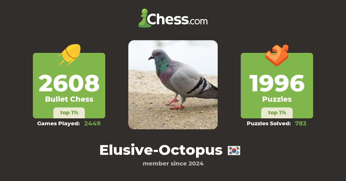 이름 성 (Elusive-Octopus) - Chess Profile - Chess.com