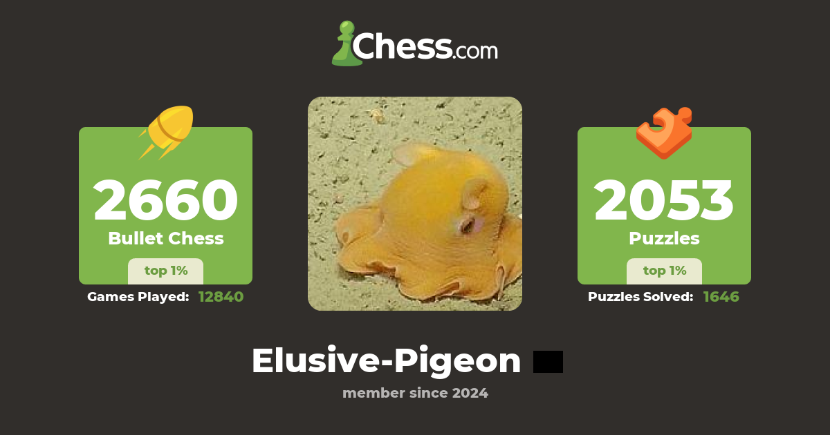 Bullet player 중2 (Elusive-Pigeon) - Chess Profile - Chess.com