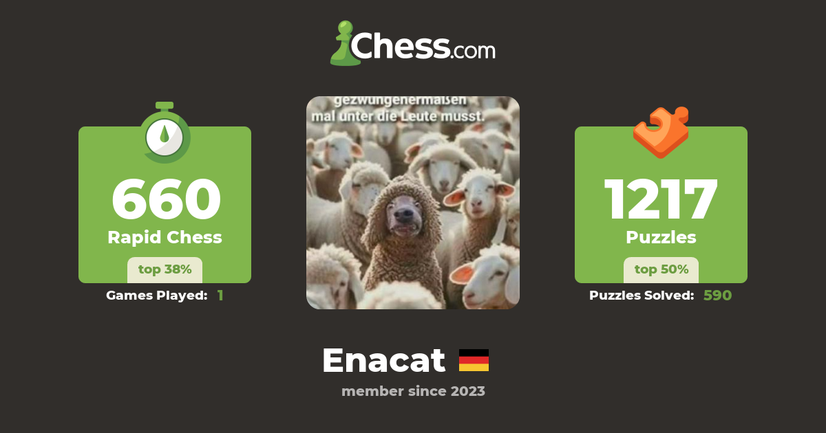Ena cat (Enacat) - Chess Profile - Chess.com