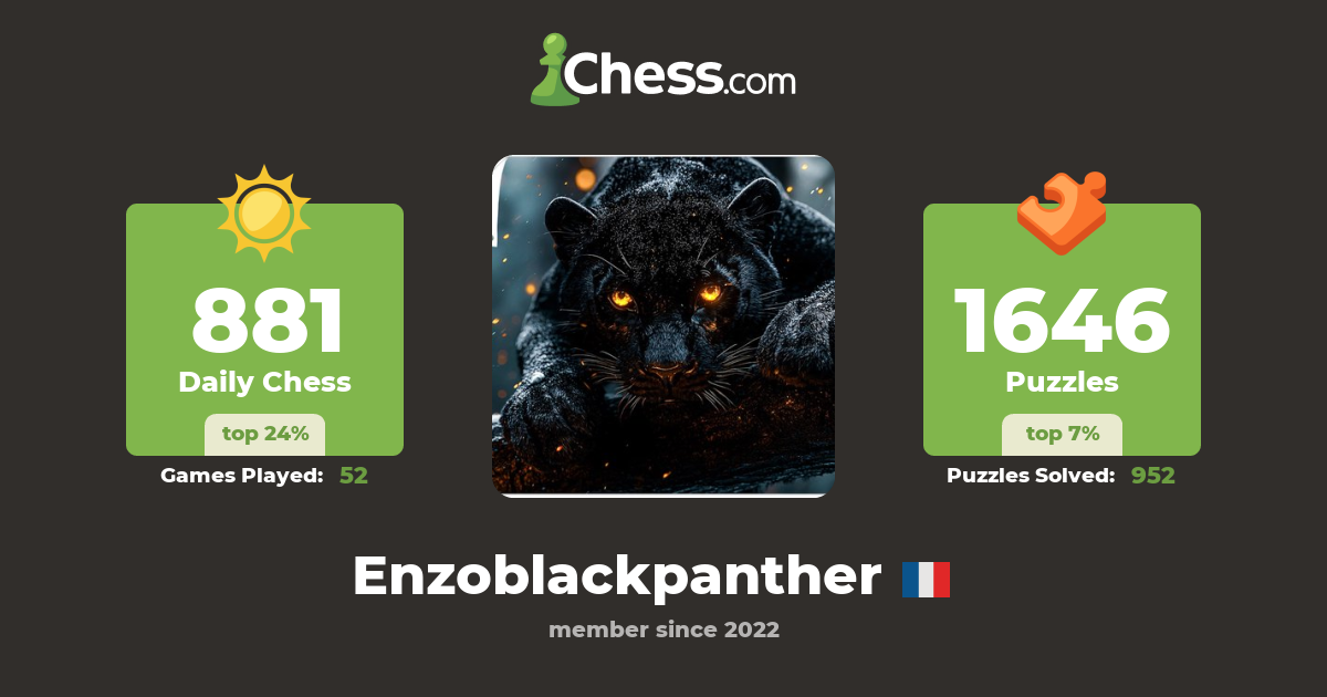 Enzoblackpanther - Chess Profile - Chess.com