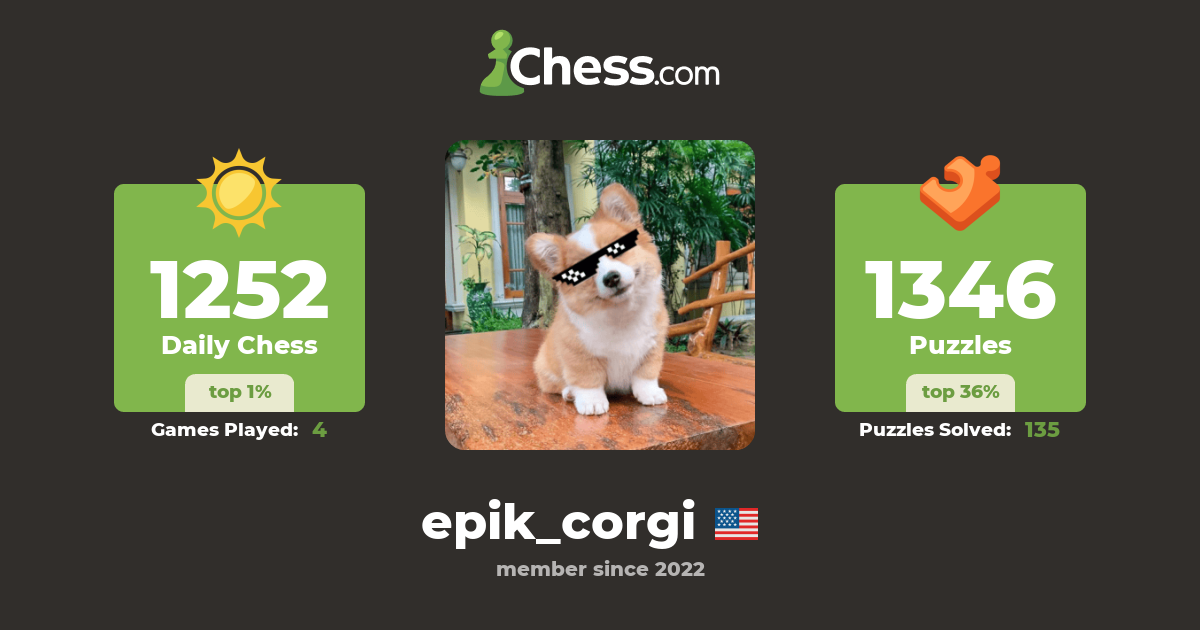epik_corgi - Chess Profile - Chess.com