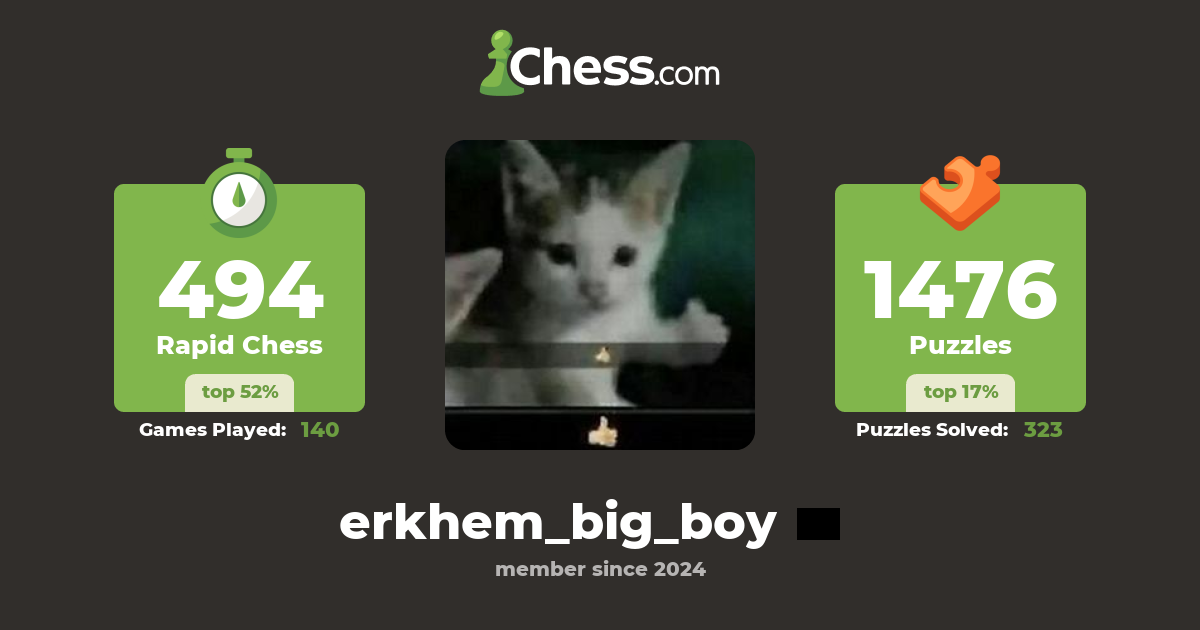 ERICA (erkhem_big_boy) - Chess Profile - Chess.com