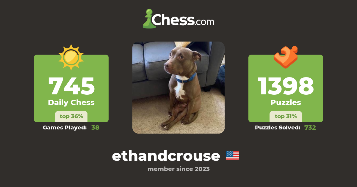 Ethan Crouse (ethandcrouse) - Chess Profile - Chess.com