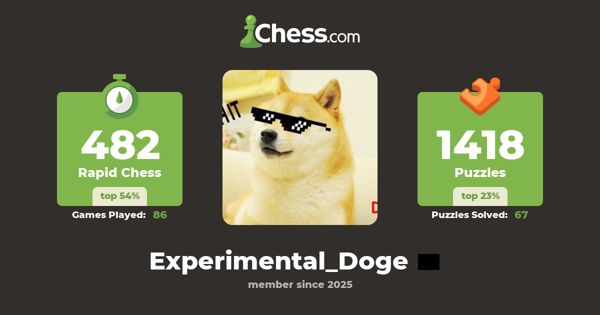 John Sun (Experimental_Doge) - Chess Profile - Chess.com