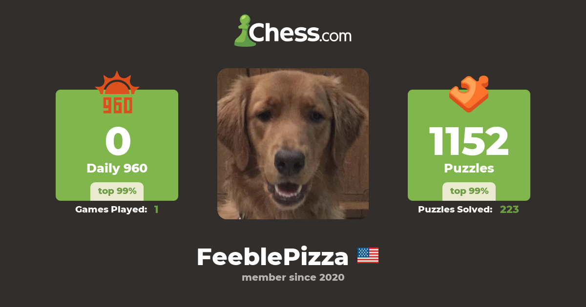 Diane Magnuson (FeeblePizza) - Chess Profile - Chess.com