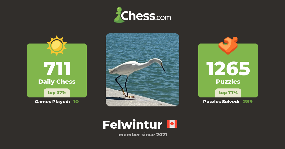 Chris (Felwintur) - Chess Profile - Chess.com