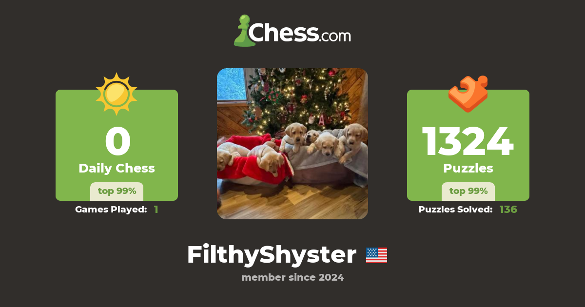 FilthyShyster - Chess Profile - Chess.com