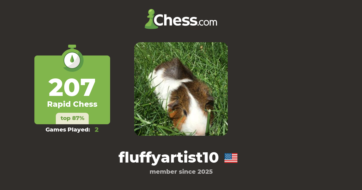 fluffyartist10 - Chess Profile - Chess.com