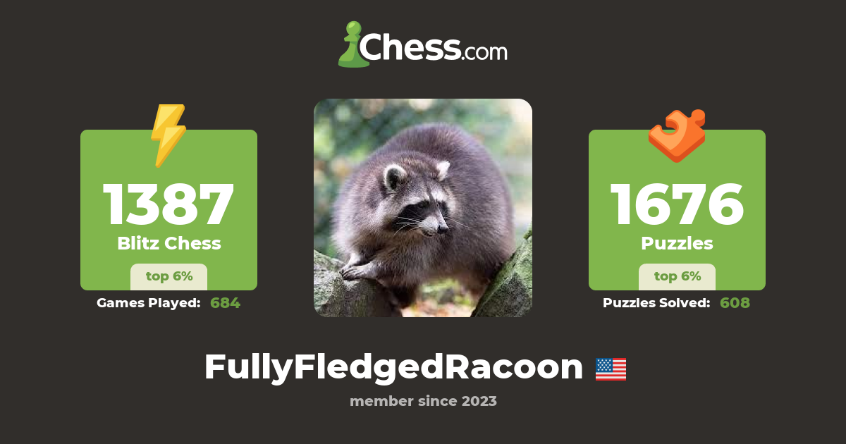 Mr. Raccoon (FullyFledgedRacoon) - Chess Profile - Chess.com