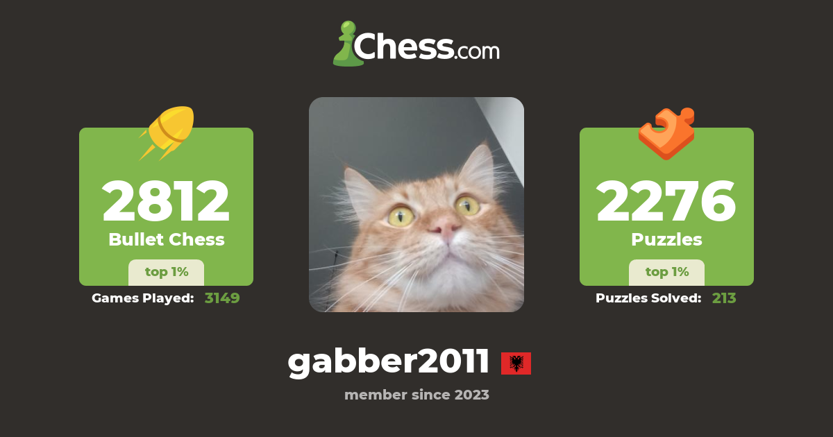 FM Gabriel Petcu (gabber2011) - Chess Profile - Chess.com