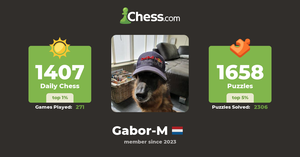 Gabor-M - Chess Profile - Chess.com