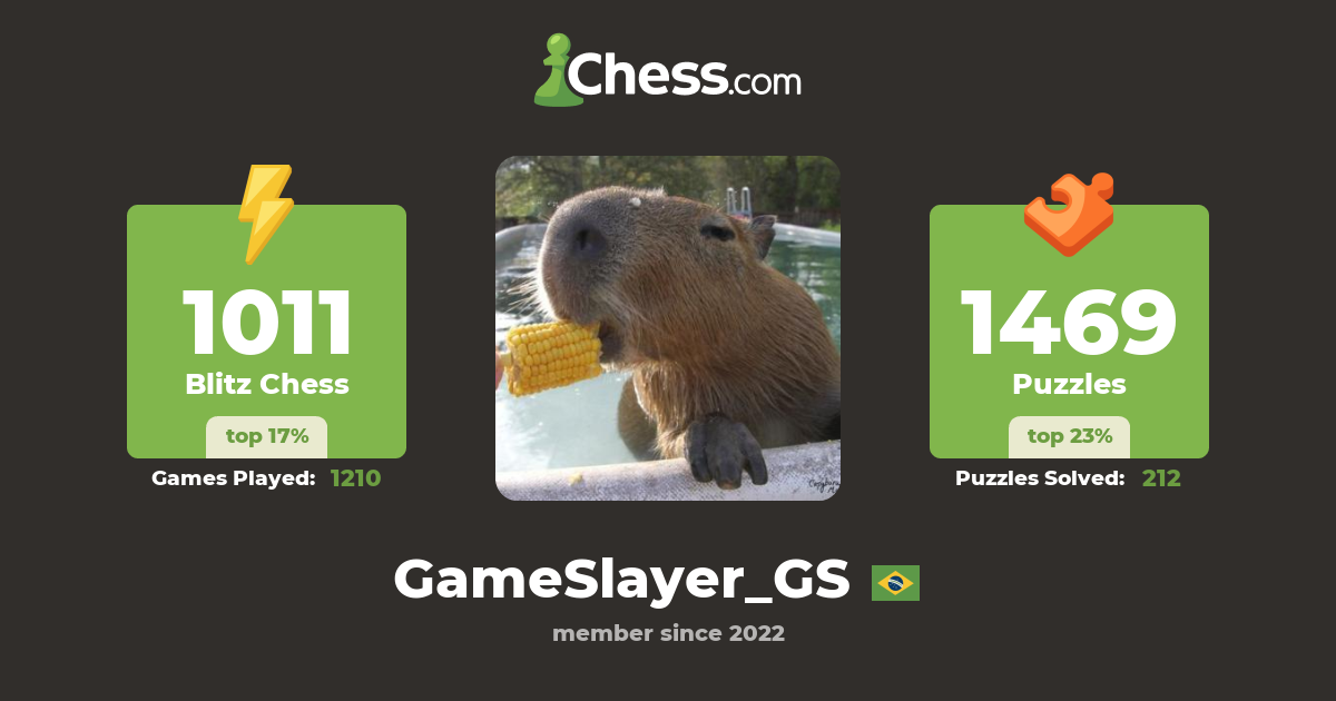 GameSlayer_GS - Chess Profile - Chess.com