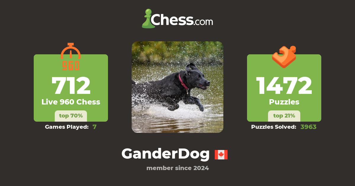 GanderDog - Chess Profile - Chess.com