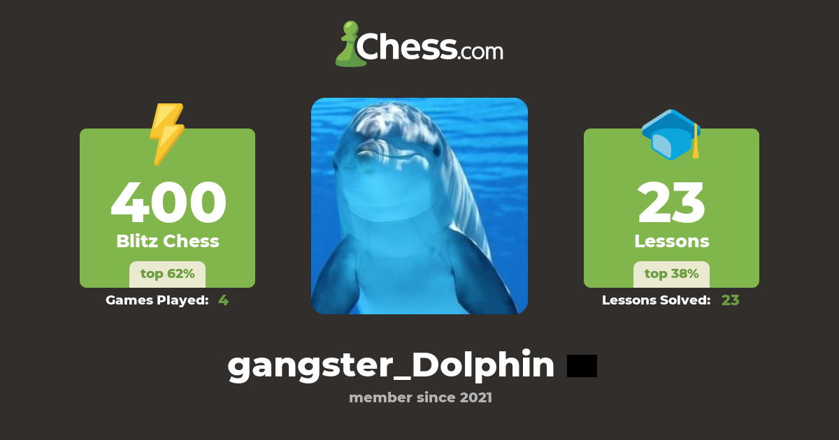 gangster_Dolphin - Chess Profile - Chess.com