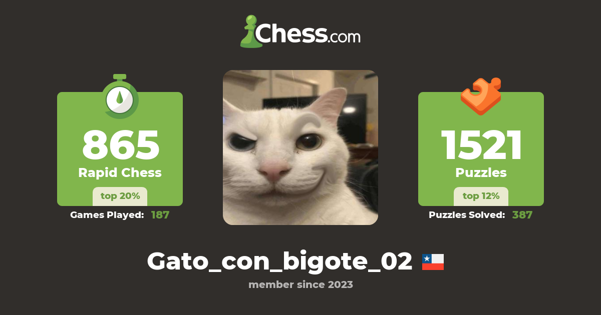 Gato con bigote (Gato_con_bigote_02) - Chess Profile - Chess.com