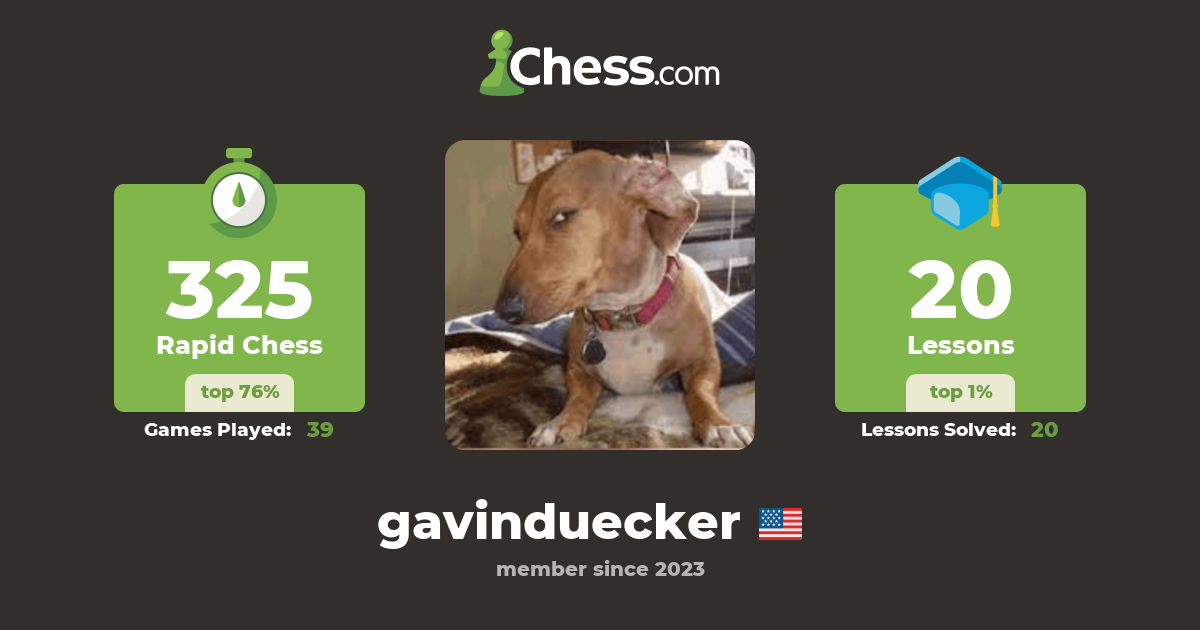gavin duecker (gavinduecker) - Chess Profile - Chess.com