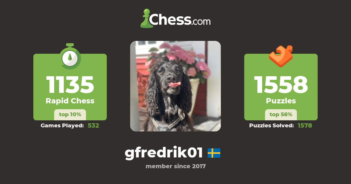Gustav Fredriksson (gfredrik01) - Chess Profile - Chess.com