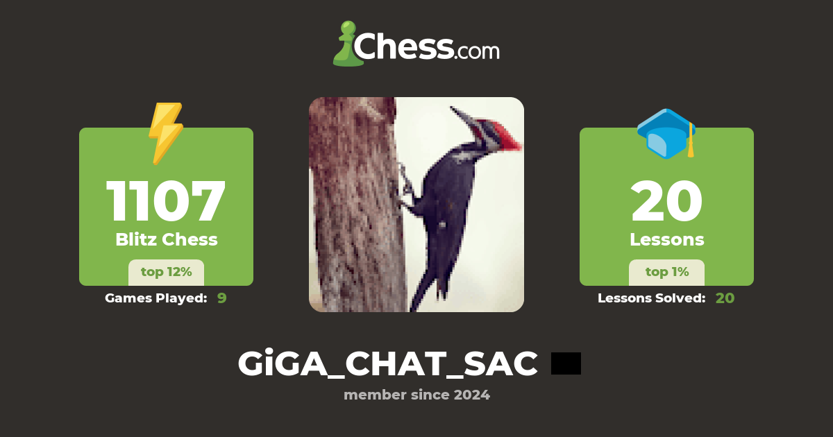 TAN TENG ROY Moe (GiGA_CHAT_SAC) - Chess Profile - Chess.com