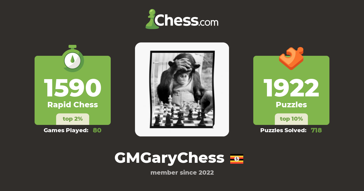 Gary Chess (GMGaryChess) - Chess Profile - Chess.com