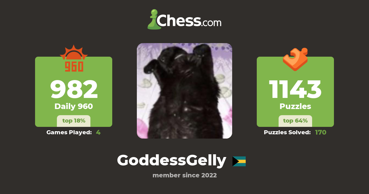 Angelica Carroll (GoddessGelly) - Chess Profile - Chess.com