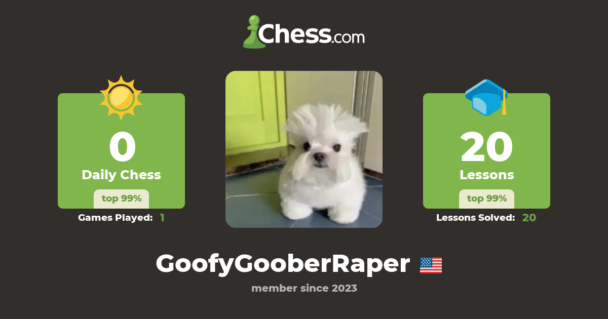 Andrew Rincon (GoofyGooberRaper) - Chess Profile - Chess.com