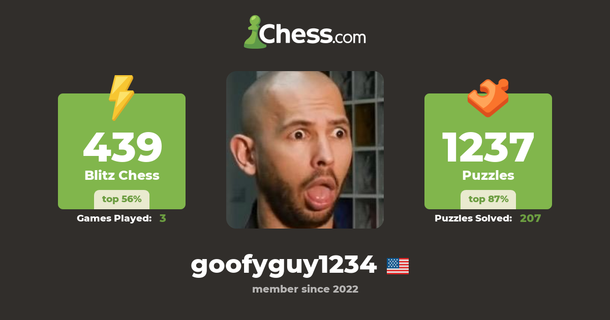 goofyguy1234 - Chess Profile - Chess.com