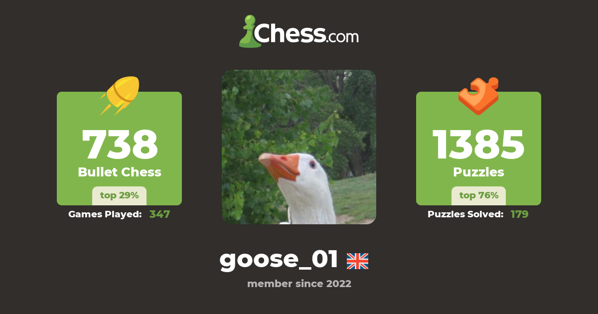 goose_01 - Chess Profile - Chess.com