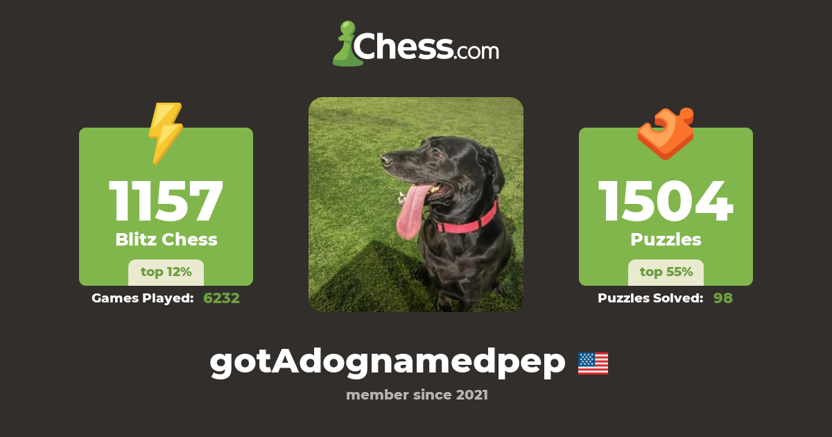 Travis Ryals (gotAdognamedpep) - Chess Profile - Chess.com