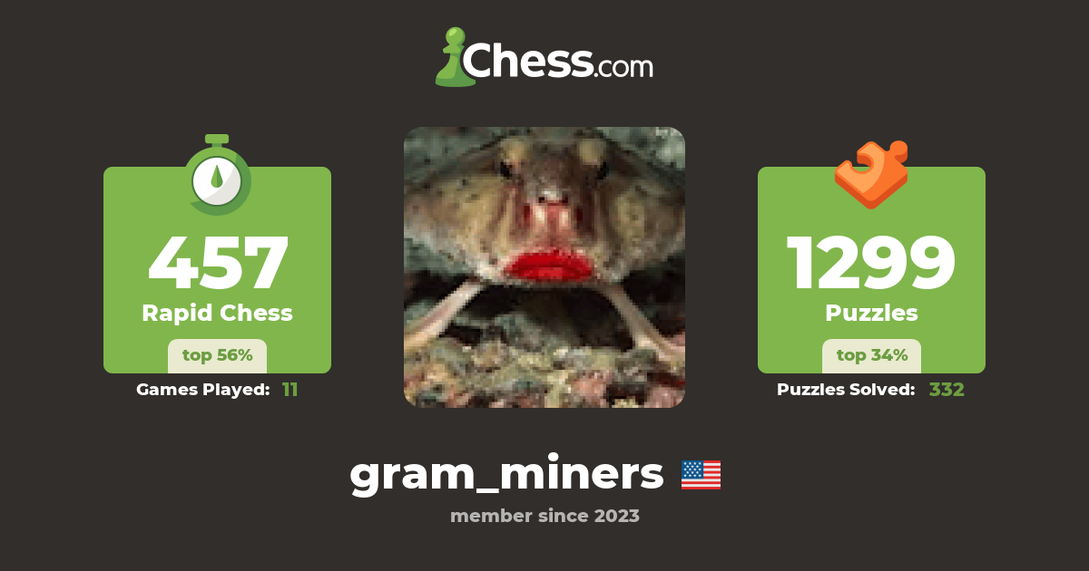 that kid that kid (gram_miners) - Chess Profile - Chess.com